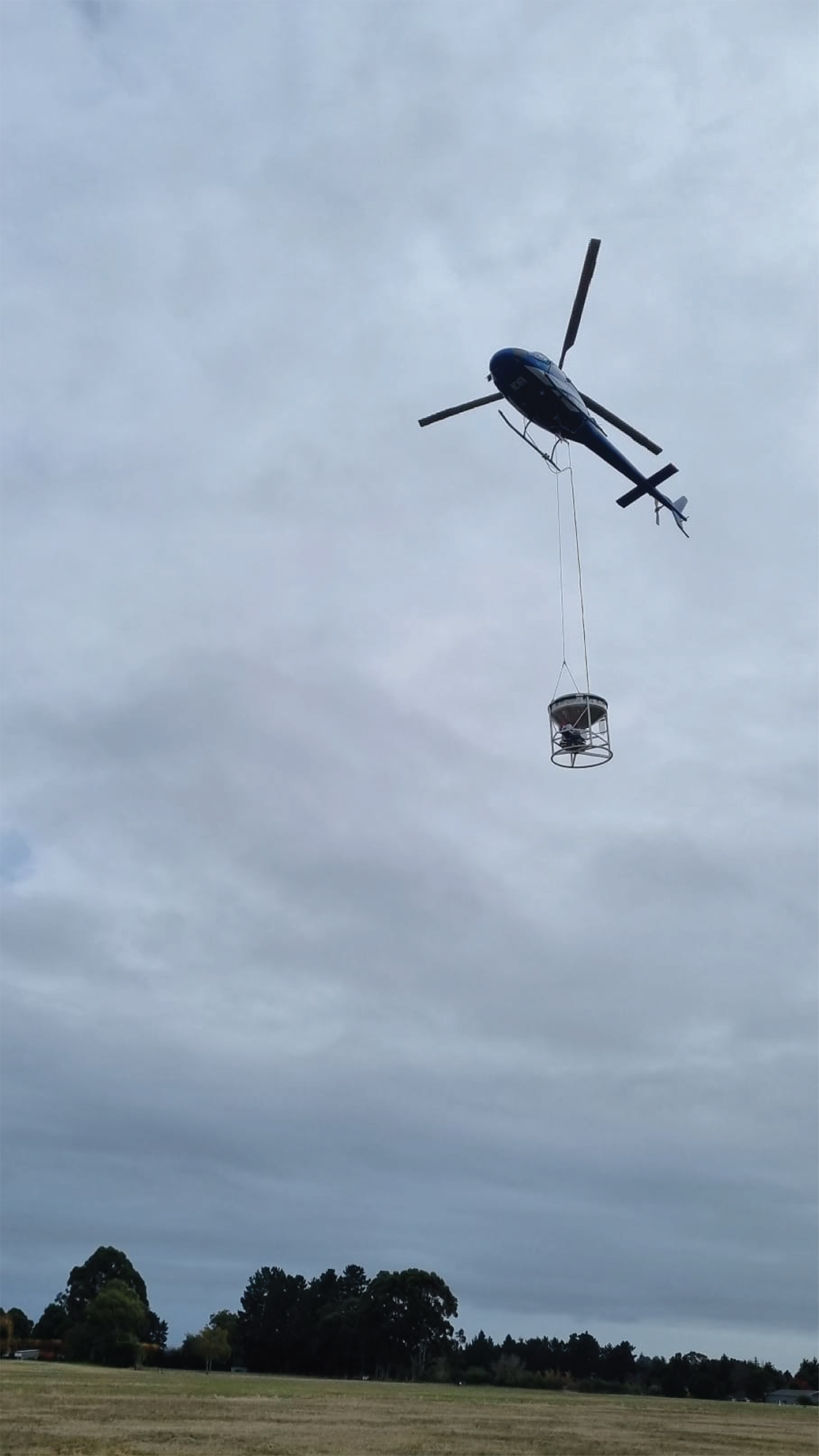 Welcoming Japanese Clients for Innovative Testing - IMS New Zealand ...